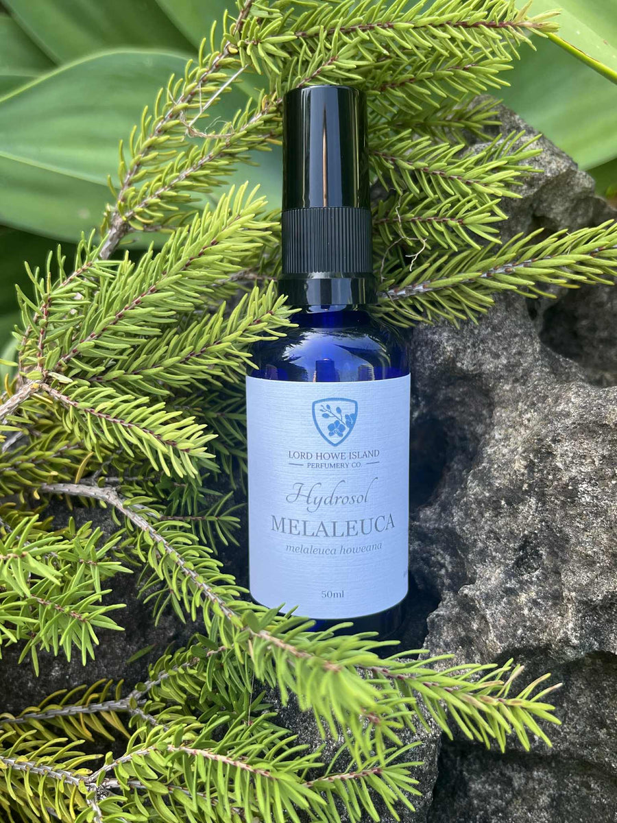 Melaleuca Hydrosol – Lord Howe Island Distilling Co
